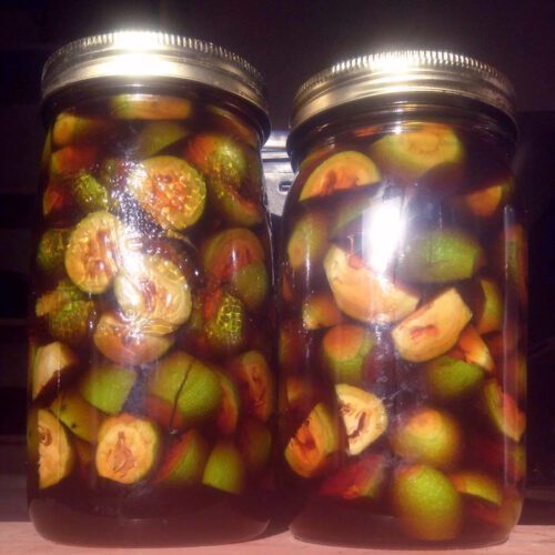 Nocino: an easy and fun classic recipe for walnut liqueur ...