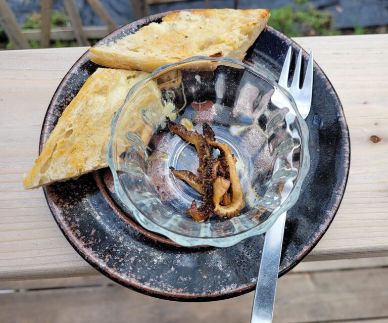 Morel mushrooms: Cultivation of upstanding morels - eatinscanada.com