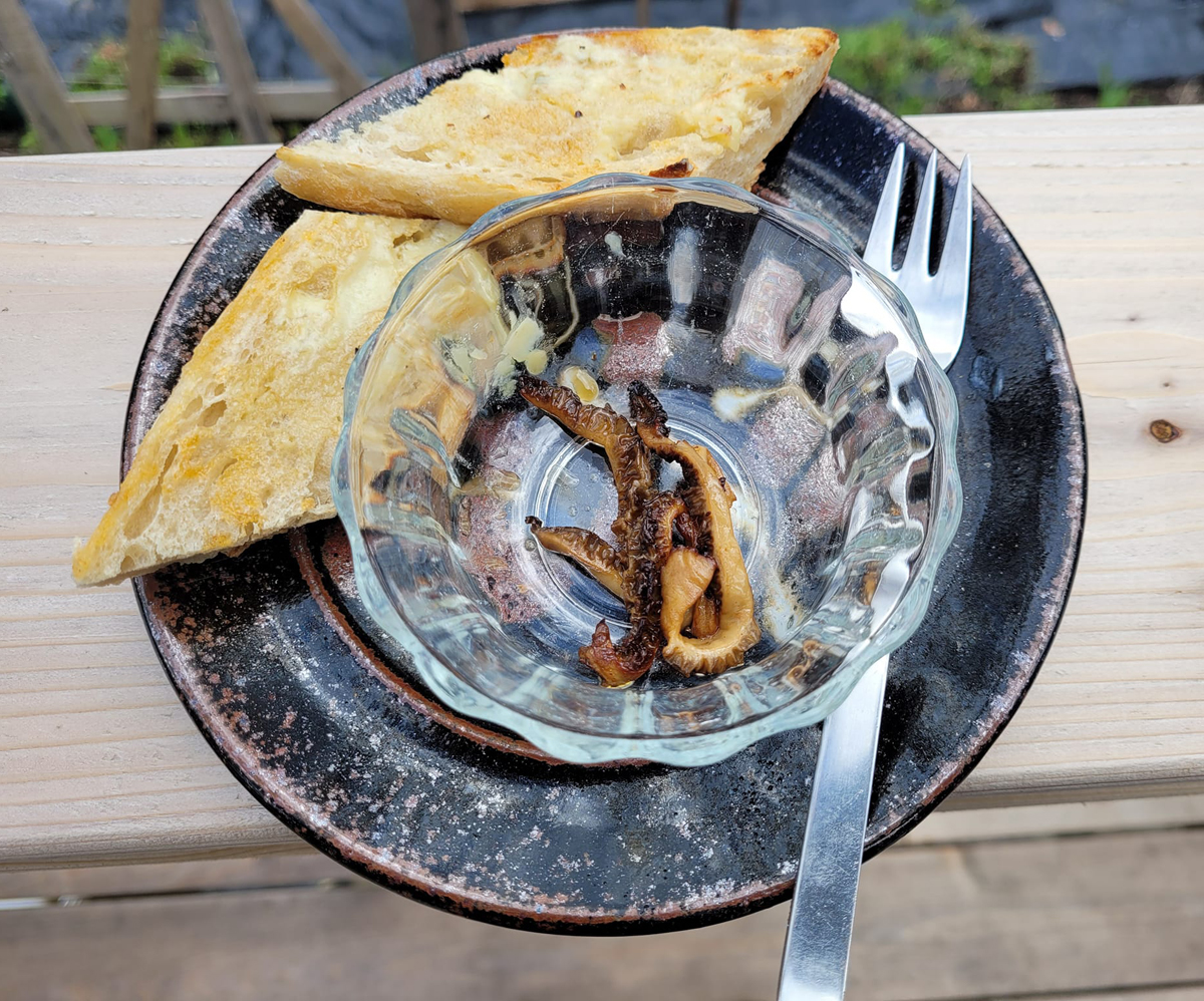 Morel mushrooms: Cultivation of upstanding morels - eatinscanada.com