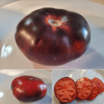 54 Luscious Tomatoes for 2024: Not an easy choice - eatinscanada.com